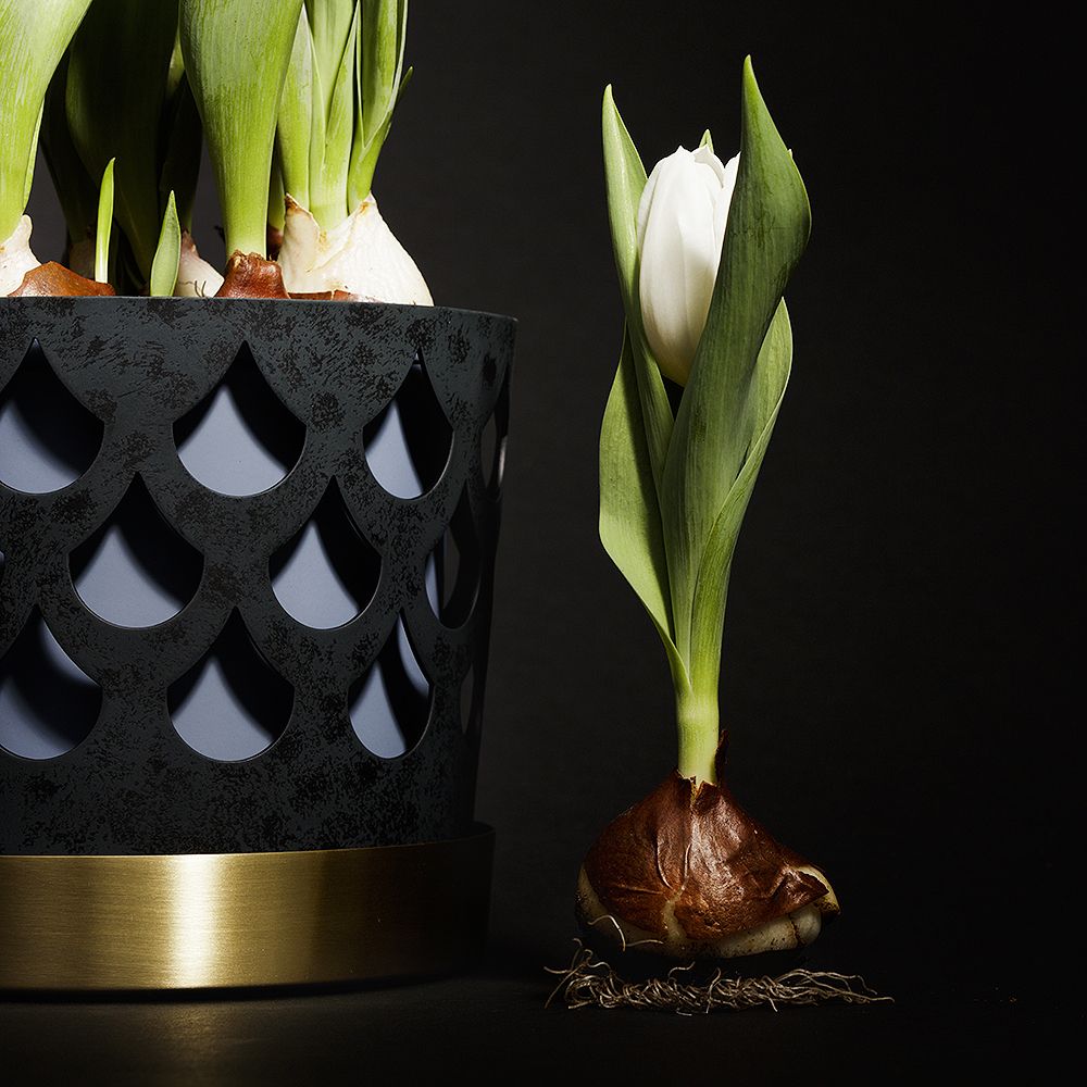 Krukor & Vaser – stort utbud online | NK