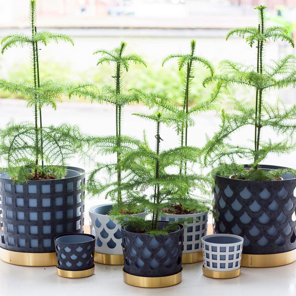 Krukor & Vaser – stort utbud online | NK